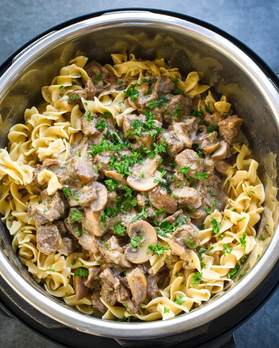 Instant Pot Beef Stroganoff